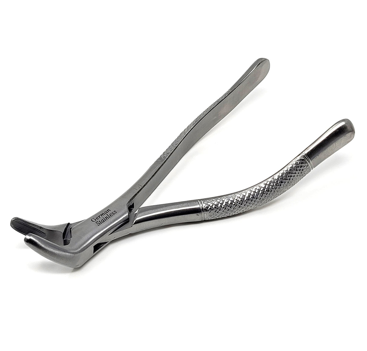 Premium Quality Dental Extraction Extracting Forceps #151 Satin, Stain ...