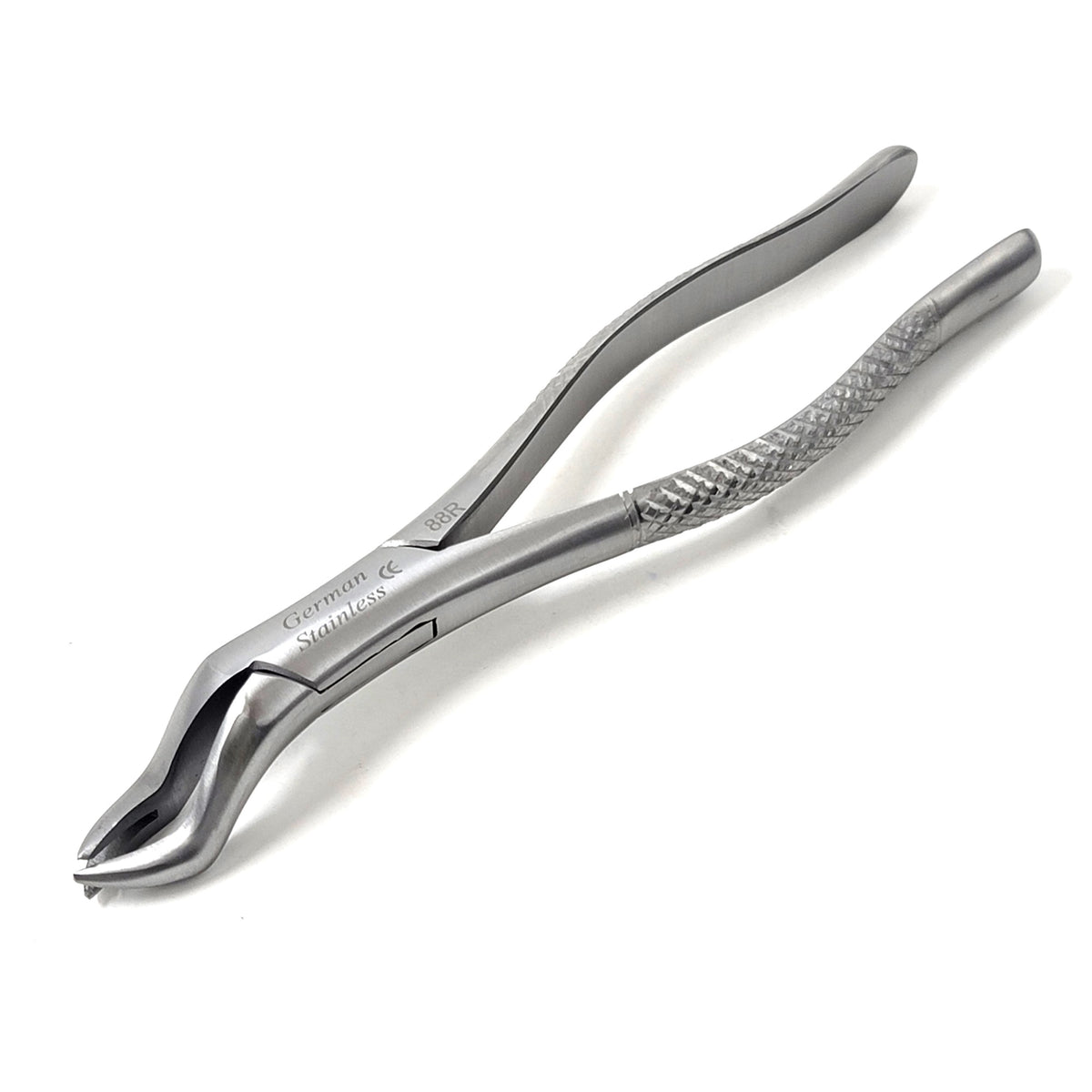 Premium Quality Dental Extraction Extracting Forceps #88R Satin, Stain ...